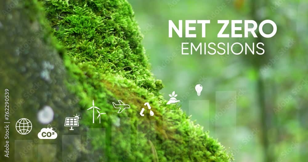 Net zero and carbon neutral concept. Net zero icons In Green Forest ...