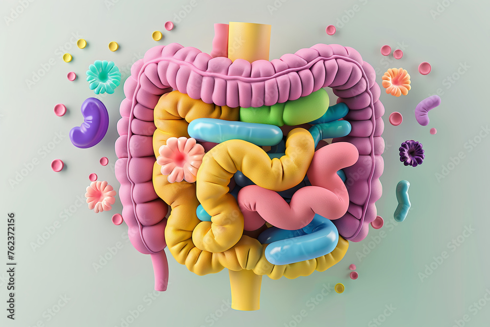 Photo 3d model of human intestine organ, ShniDesign | Posters, tableaux ...