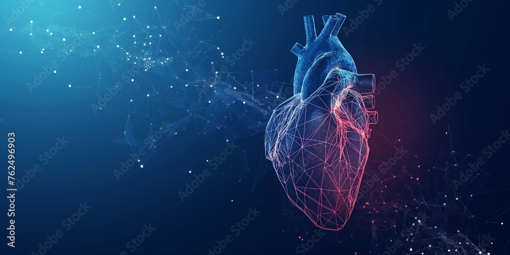 Anatomy of the human heart forms triangles and lines. 3D human organ ...