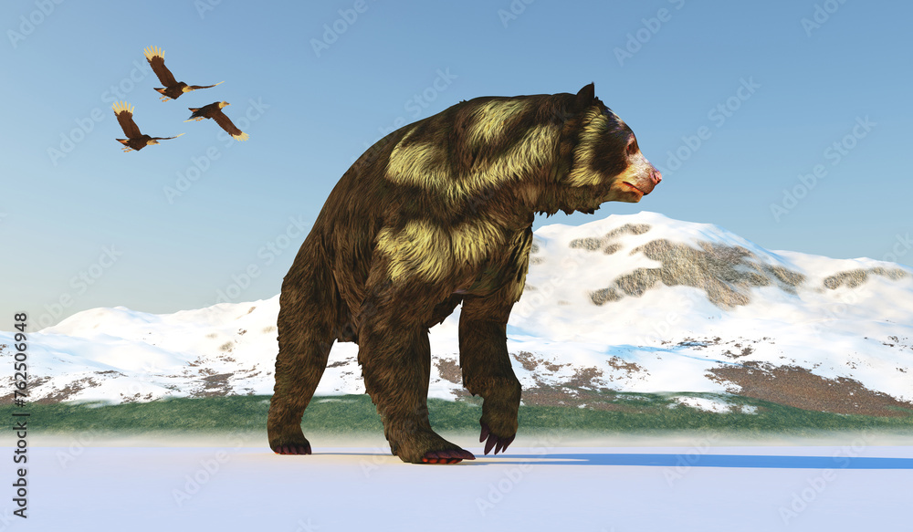 Poster North American Short-Faced Bear - Arctodus was an omnivorous ...