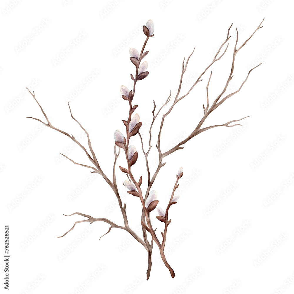 Watercolor bouquet composition illustration willow branches and tree ...
