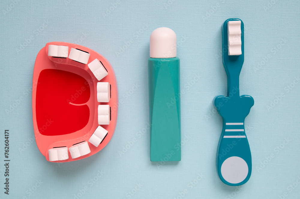 Model of a jaw with teeth on a blue background. Wooden toy teeth, mouth ...