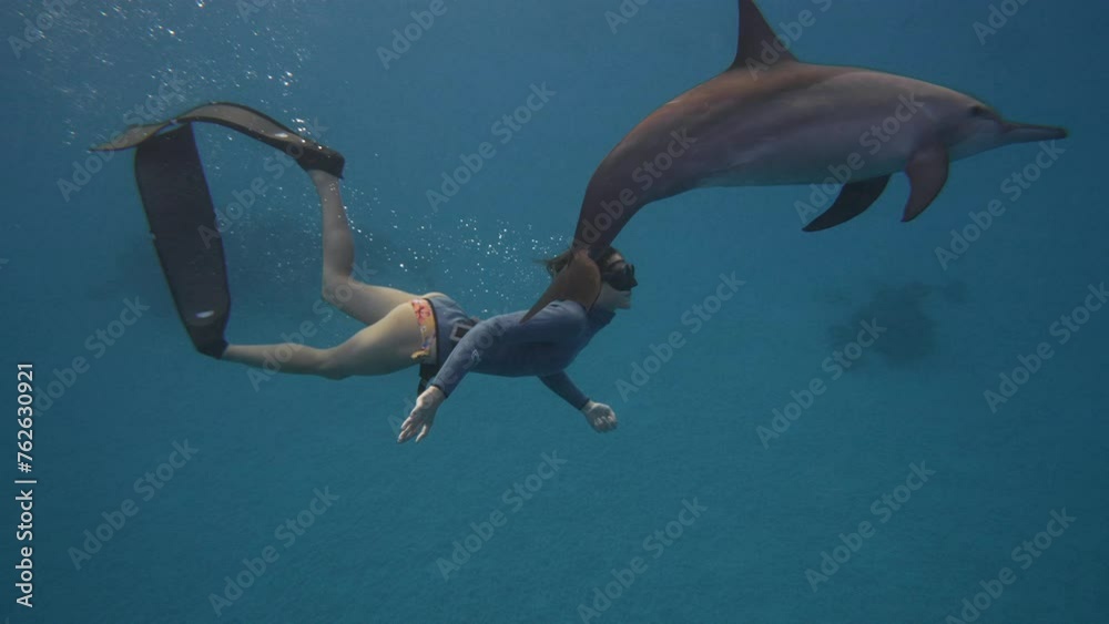 Experienced woman freediver swimming deep underwater with dolphins in ...