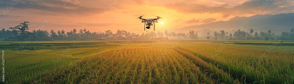 Drone flying over rice paddies, precision farming, sunrise light, wide ...