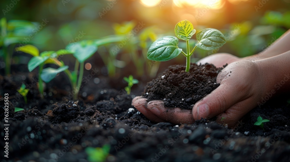 Soil conservation integrates ecological principles to mitigate erosion ...