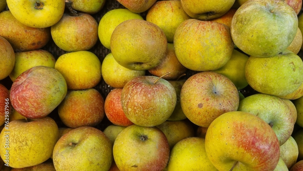 Pile of Manalagi Apples or Crab Apples (Malus sylvestris). One of the ...