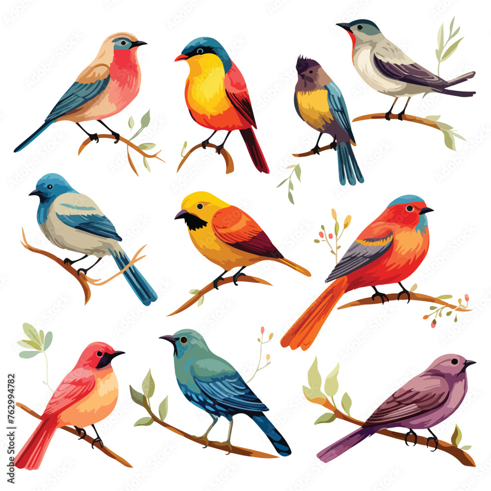 Colorful Birds Clipart clipart isolated on white background Stock ...