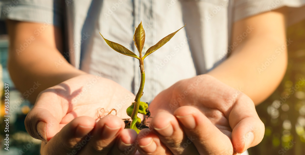 Young volunteers hold saplings. growing and nurturing young seedlings ...