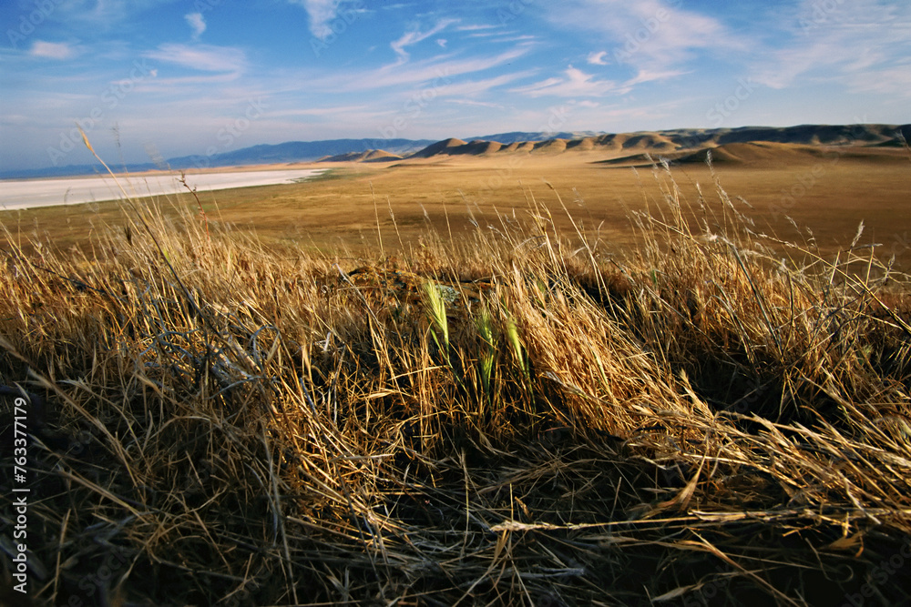 Rare native plants and foreign crops compete for limited resources on ...