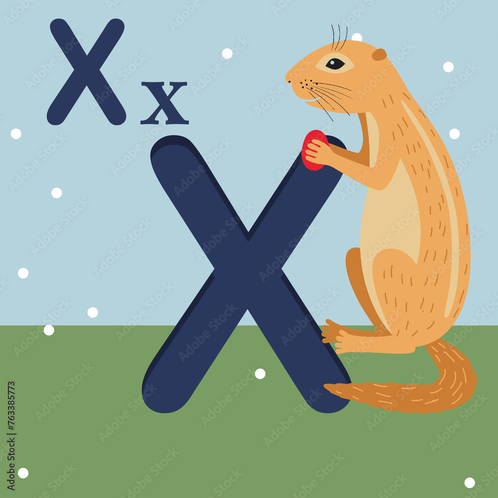 X for Xerus ABC TO Z , Colorful animal alphabet letter X with Xerus ...