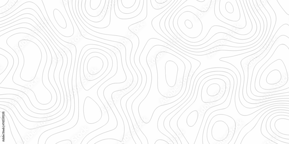 Vector geometric topography contour map White wave paper curved reliefs ...
