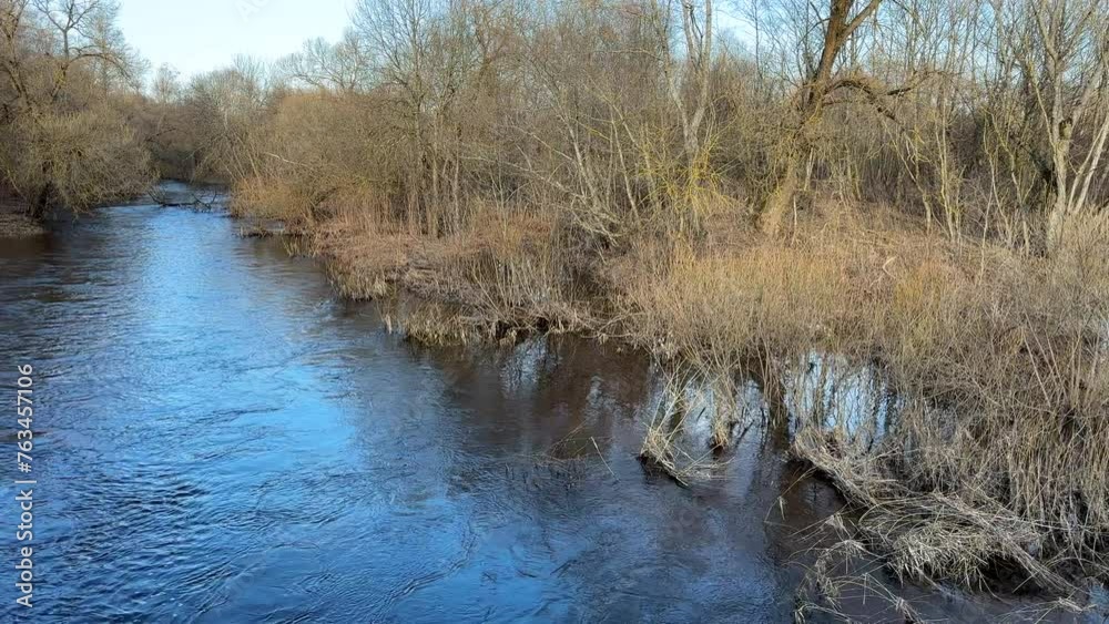 River in forest in spring. Fresh water ecosystems resource. A small ...
