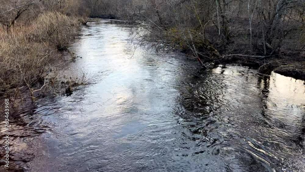 River in forest in spring. Fresh water ecosystems resource. A small ...