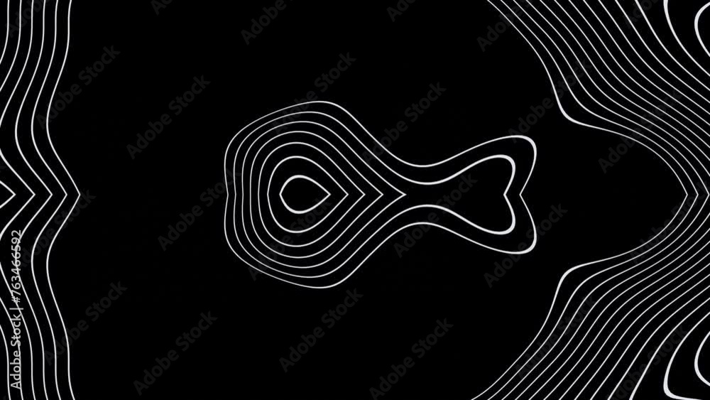 3d abstract black and white background with lines. Topographic map ...