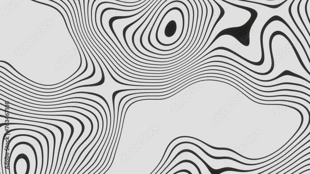 3d black and white abstract wallpaper. Outline Topographic geography ...