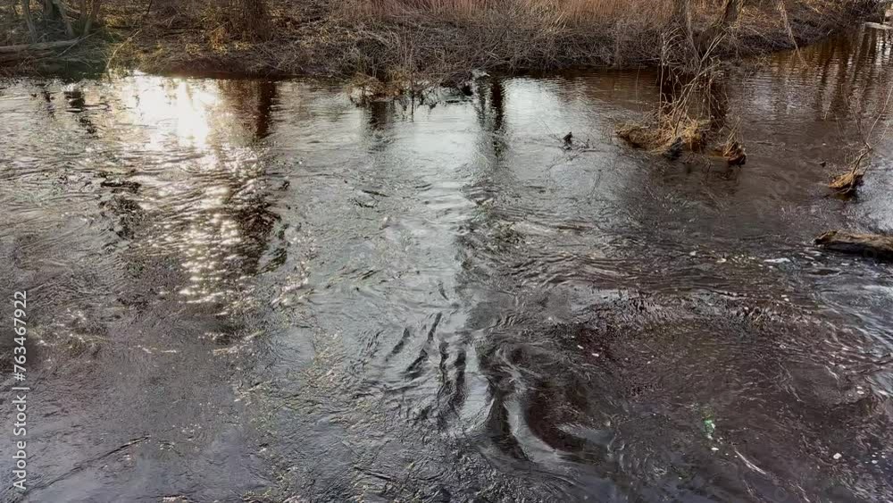 River in forest in spring. Fresh water ecosystems resource. A small ...
