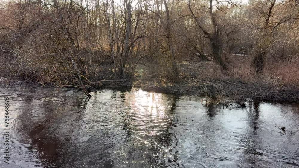 River in forest in spring. Fresh water ecosystems resource. A small ...