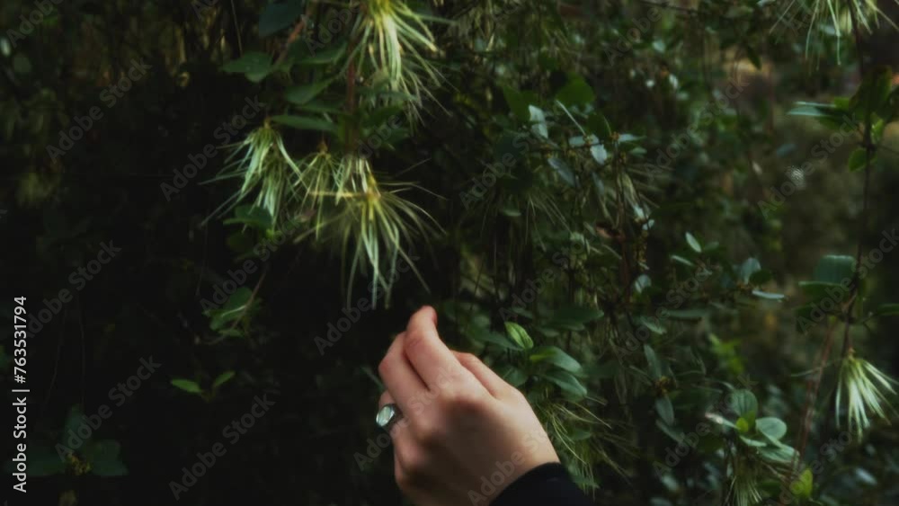 The video features a close up of a human hand gently touching the sharp ...