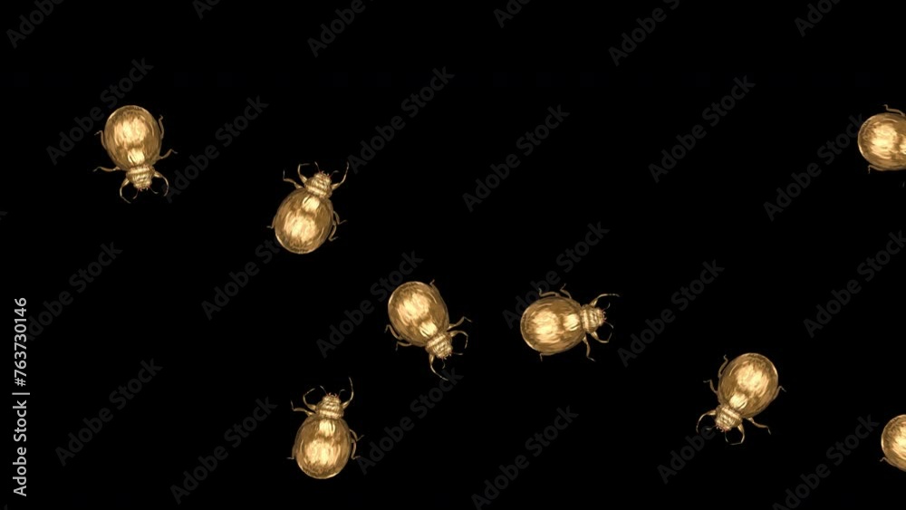 Swarm of Golden Ladybird Beetle Bugs - Randomly Crawling Loop - Top ...