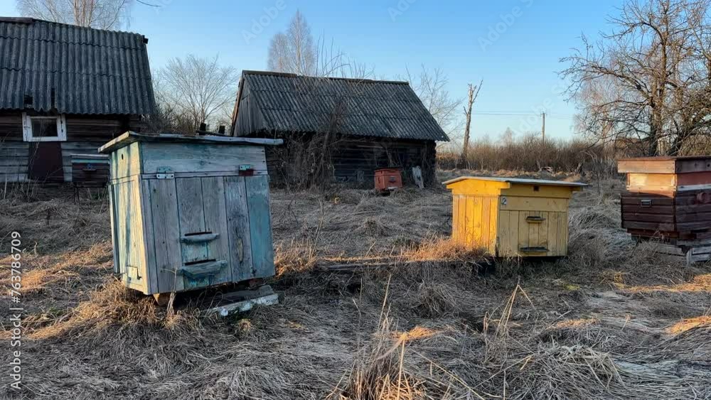 Apiary. Honey production bee farm. Beekeeping in rural. Wooden Beehives ...
