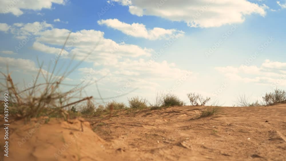 The Thar Desert, also known as the Great Indian Desert, is a region of ...