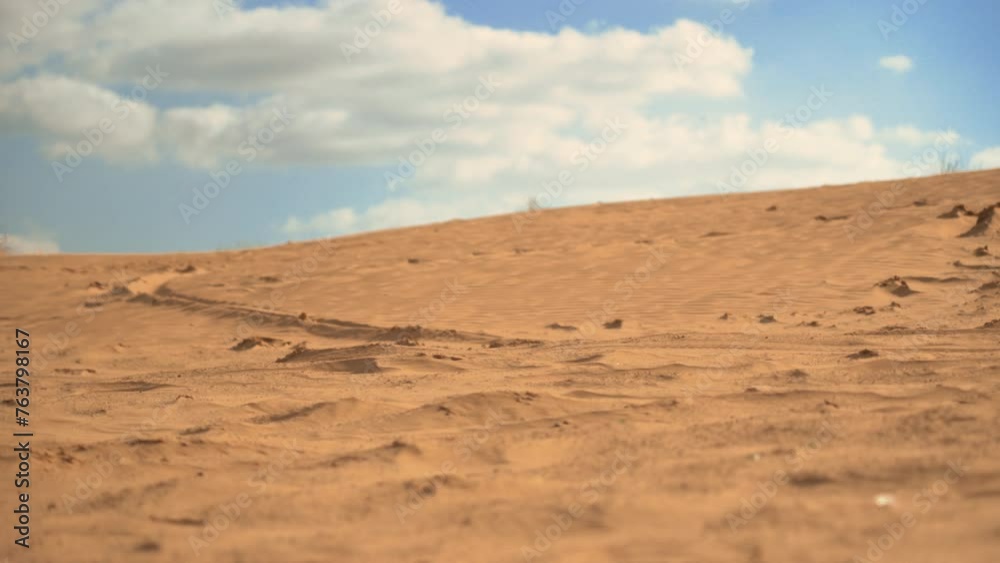 The desert of Rajasthan is also known as the great Indian desert. The ...