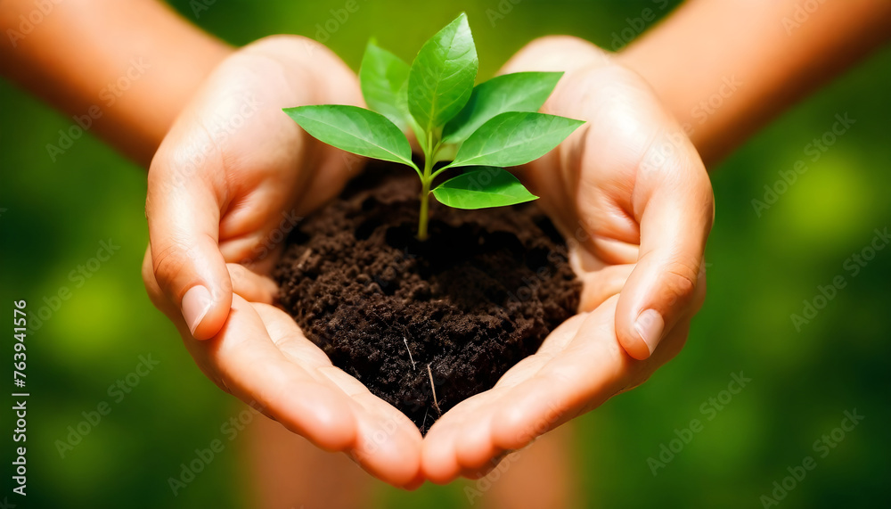 renewal and commitment on Earth Day 2024, hands clasped around a young ...