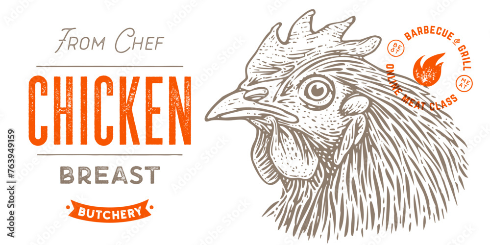 Chicken, hen head. Vintage retro print, chicken sketch ink pencil style ...