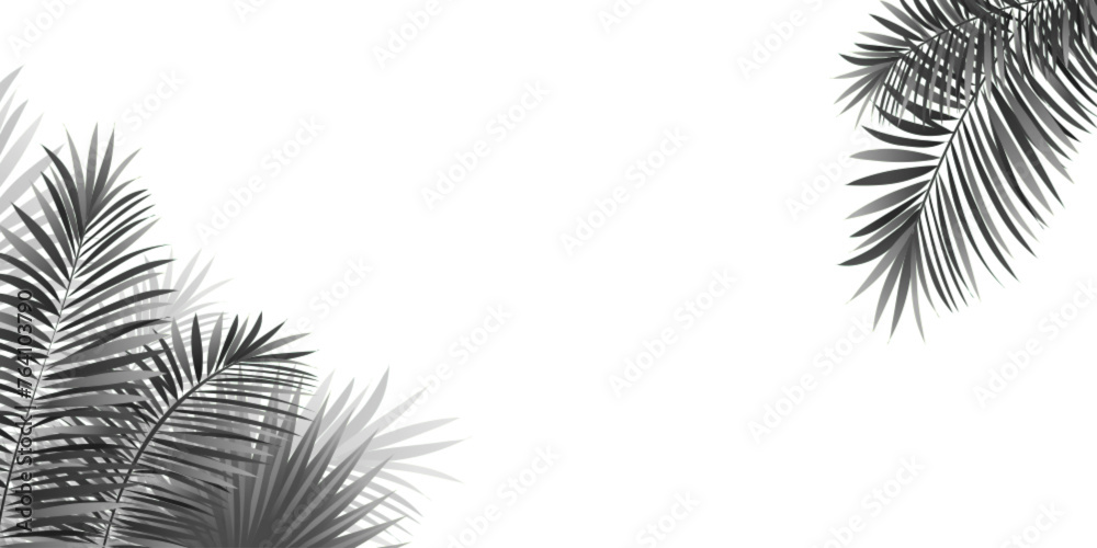 Palms and monstera leaves silhouettes vector illustration. Tropical ...