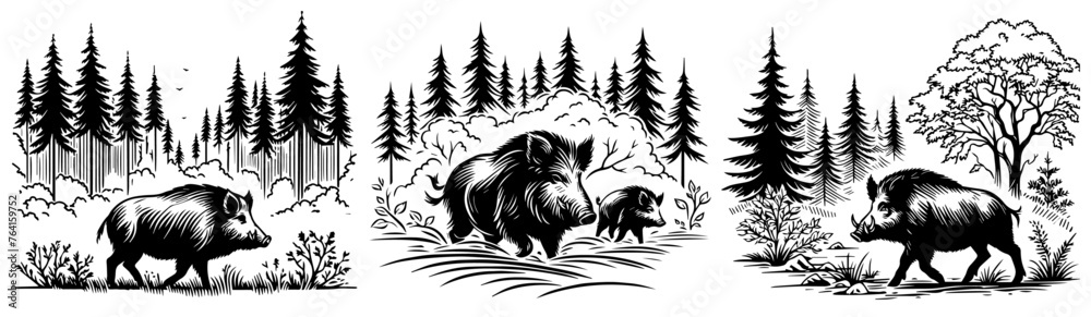 wild boars in the forest natural habitat vector illustration silhouette ...