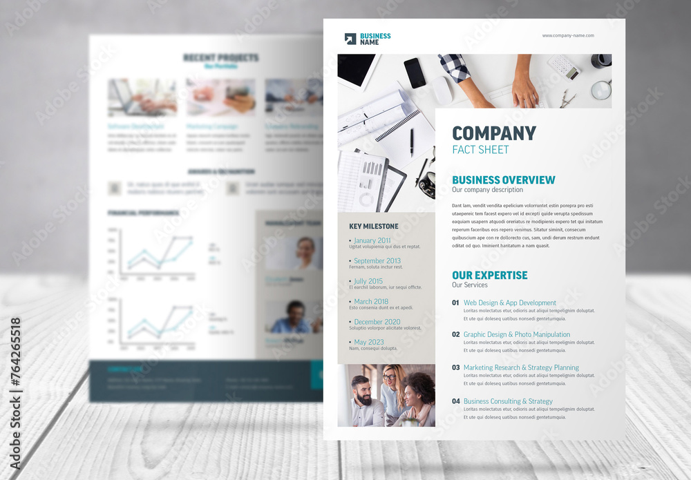 Business Company Fact Sheet Template Stock Template | Adobe Stock