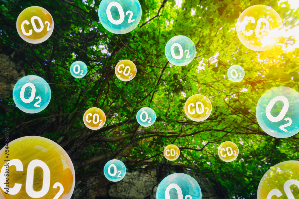 Tree canopy against a sky background with oxygen O2 and carbon dioxide ...