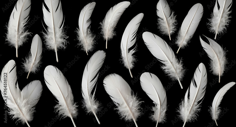 Vector white feathers collection, set of different falling fluffy ...