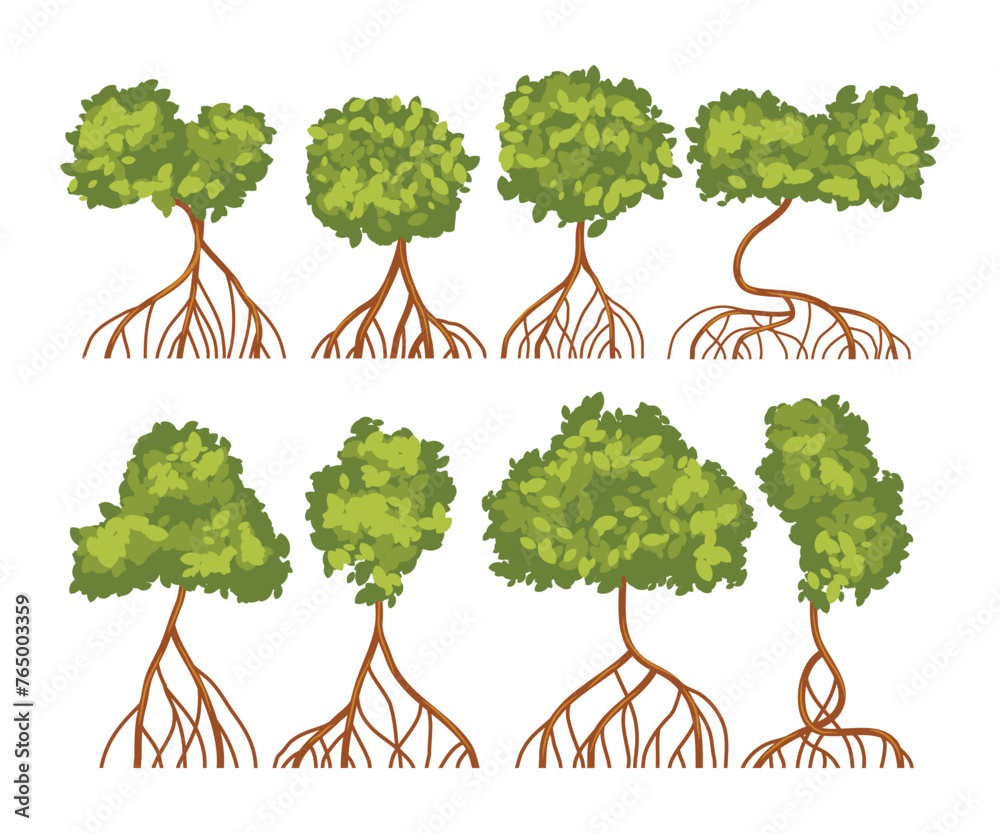 Set of mangrove tree collection with roots and green leaves, isolated ...