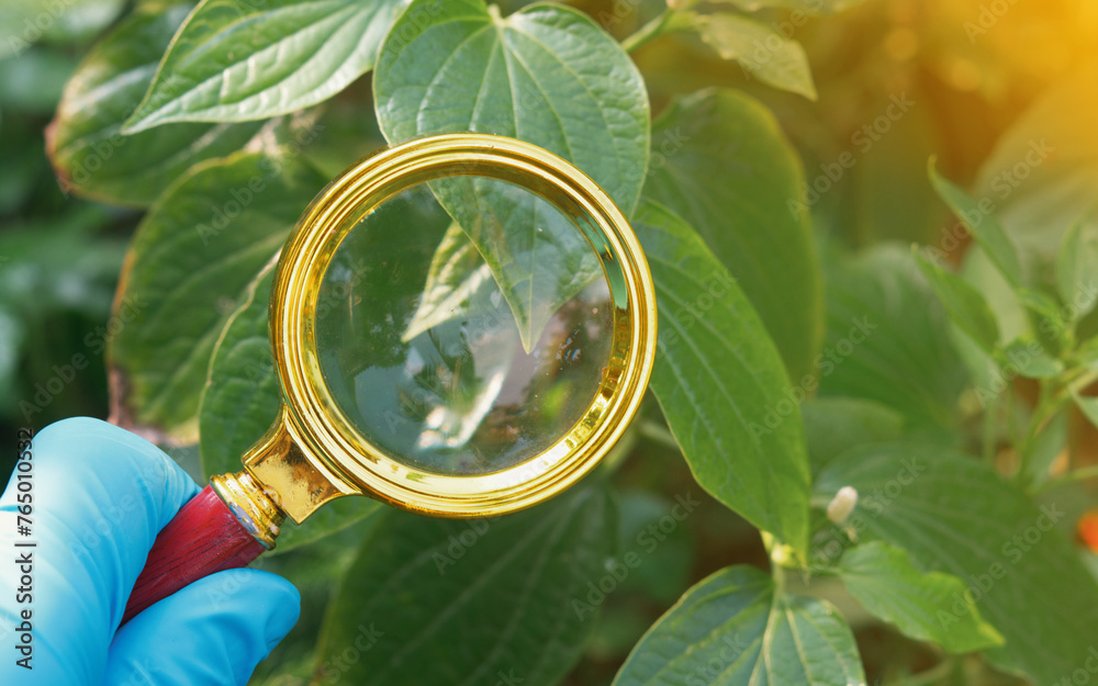 Plant diseases are conditions caused by pathogens such as fungi ...