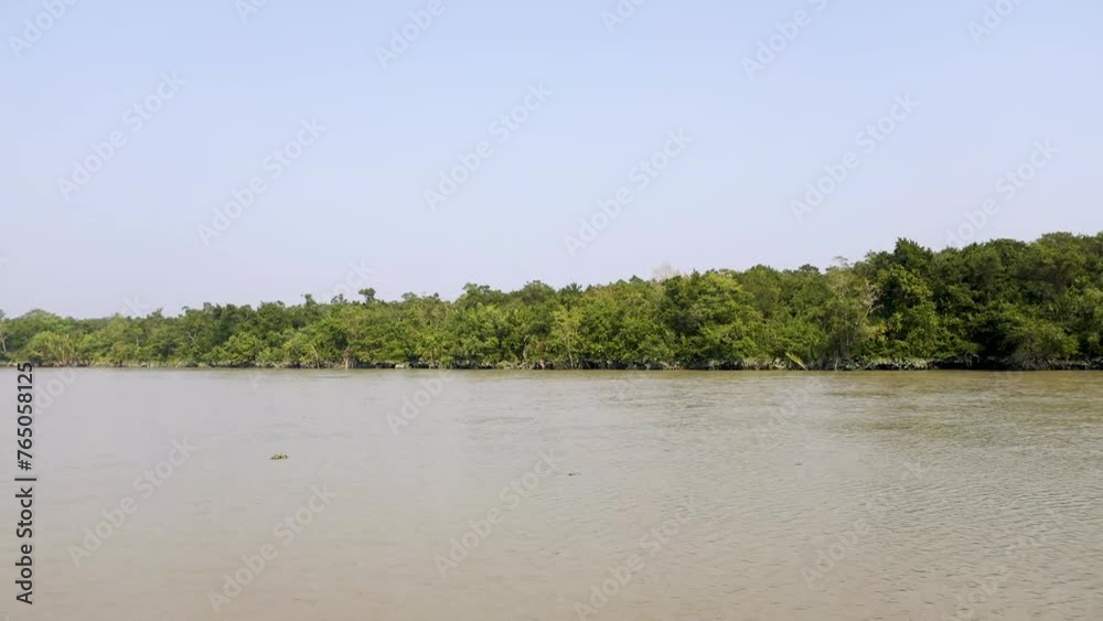 4K footage of Sundarbans.Sundarbans is the biggest natural mangrove ...