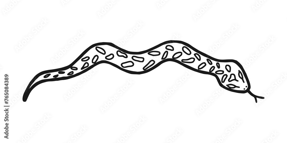 Snake outline illustration isolated on white background. Illustration ...
