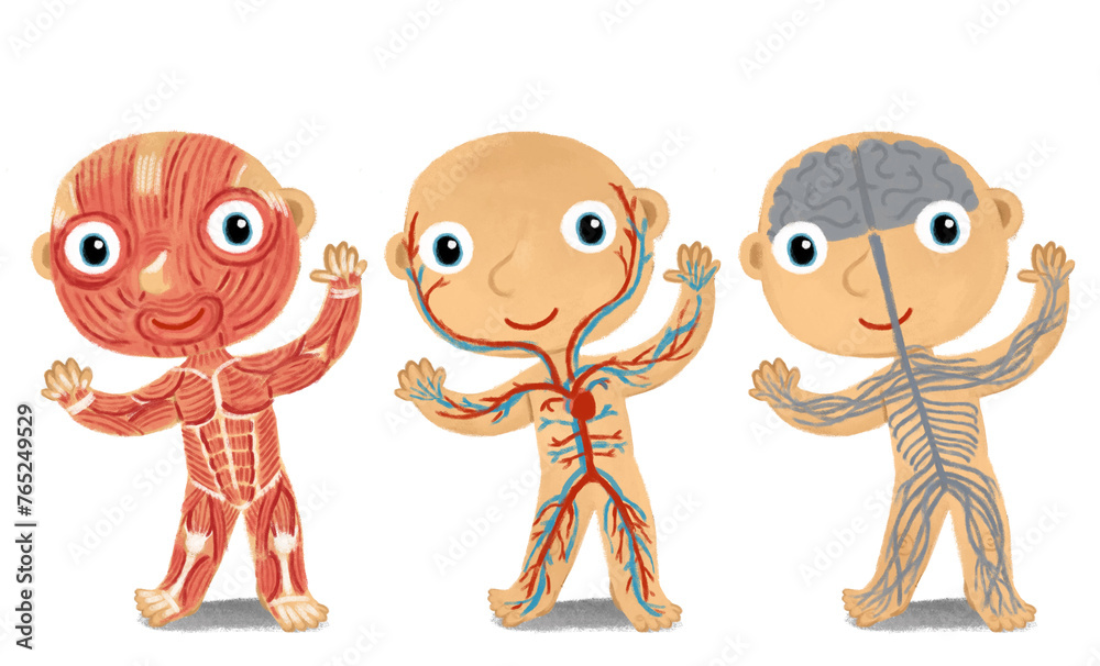 cartoon scene with young boy as anatomy model of body parts on white ...