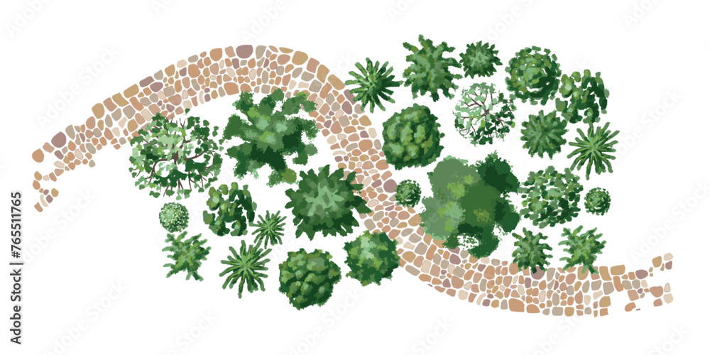 Top view vector illustration of green trees and plants with the rocky ...