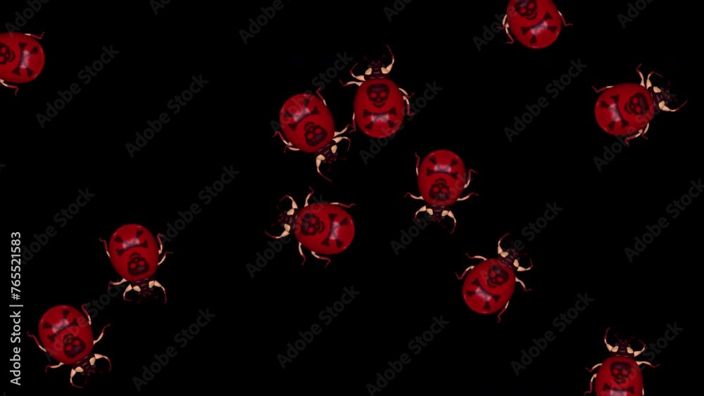 Swarm of 13 Bloody Ladybird Red Beetle Bugs with Black Jolly Roger ...