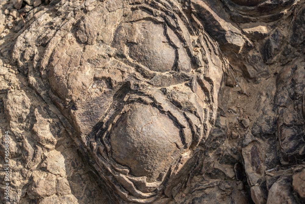 Spheroidal weathering tholeiitic basalt. onion skin weathering ...