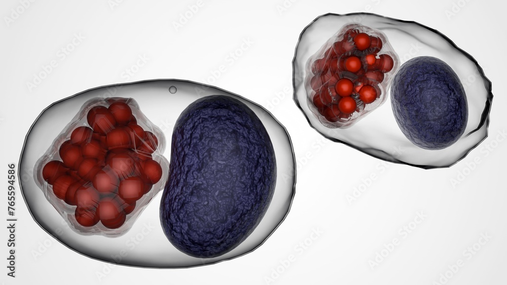 3d rendering of Chlamydia trachomatis, is the scientific name for the ...