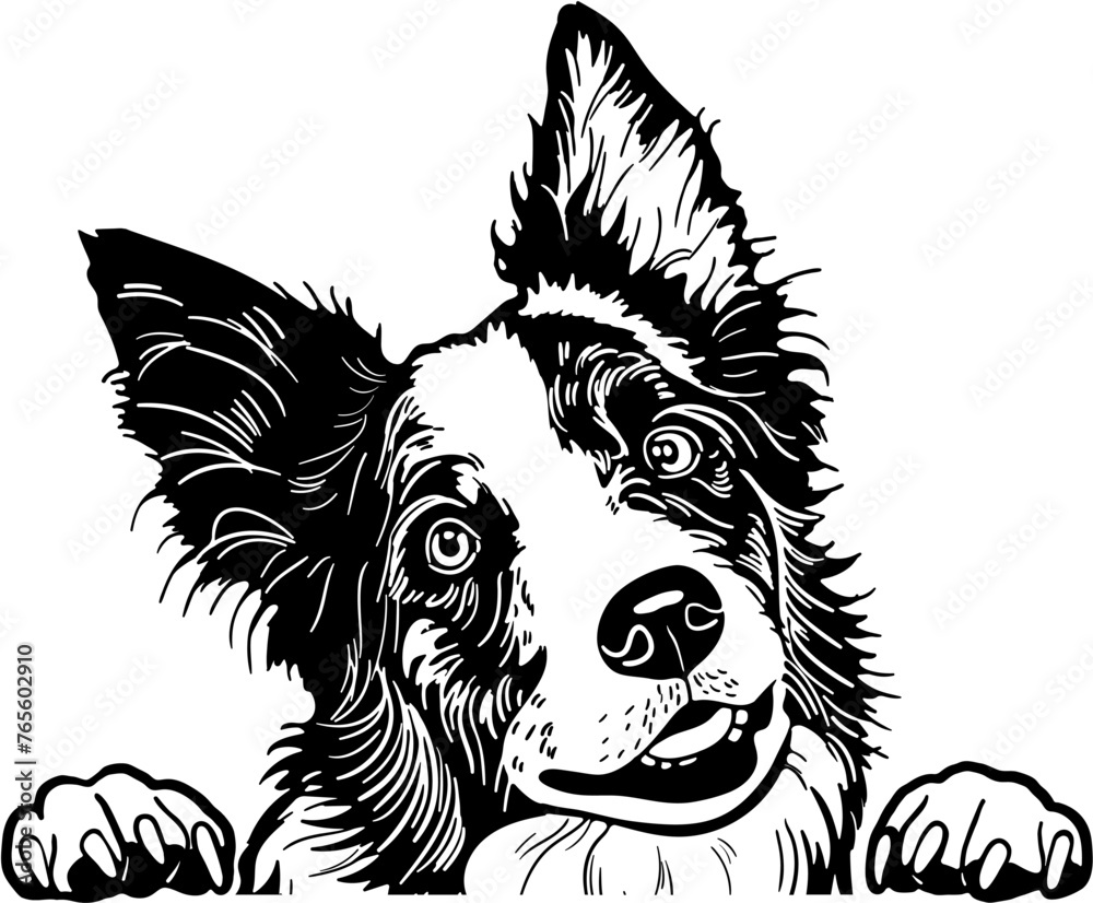 Australian shepherd svg,Mini Aussie face Clipart,Dog Svg files for ...