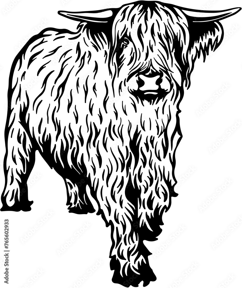 Vetor de Highland Cow SVG,Scottish cow svg,Scottish cow Clipart ...