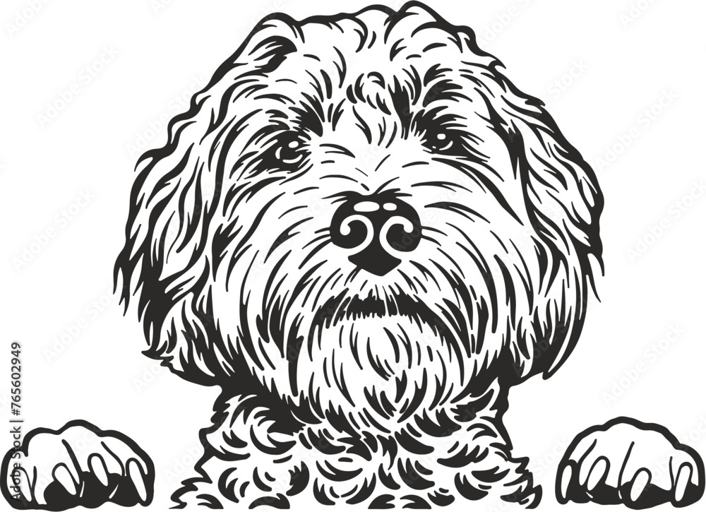 Labradoodle svg,dog svg cricut, cute Face Labradoodle svg,printable ...