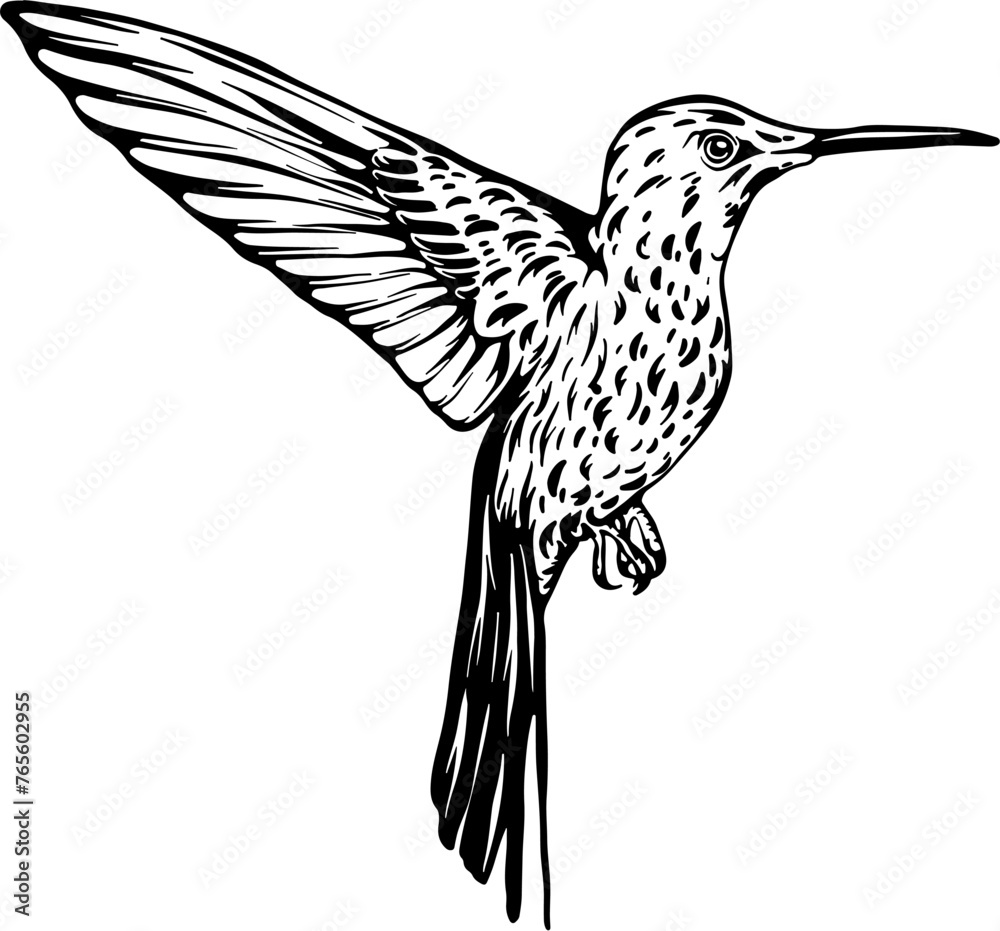 Hummingbird Svg,Humming Bird SVG ,Hummingbird Silhouette ,Hummingbird ...