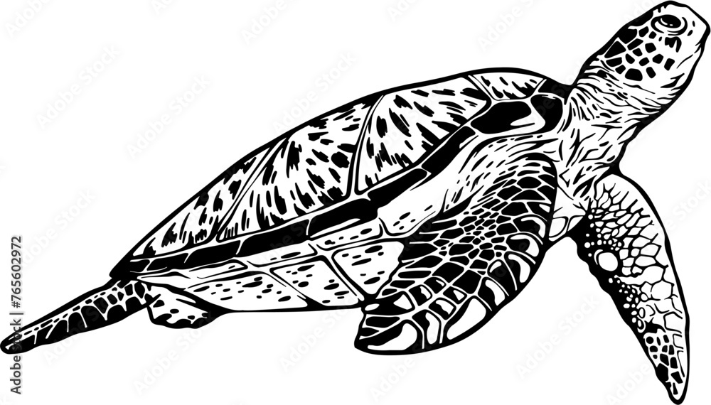 Turtle svg,Turtle silhouette,Turtle png,Turtle clipart,Turtle cricut ...