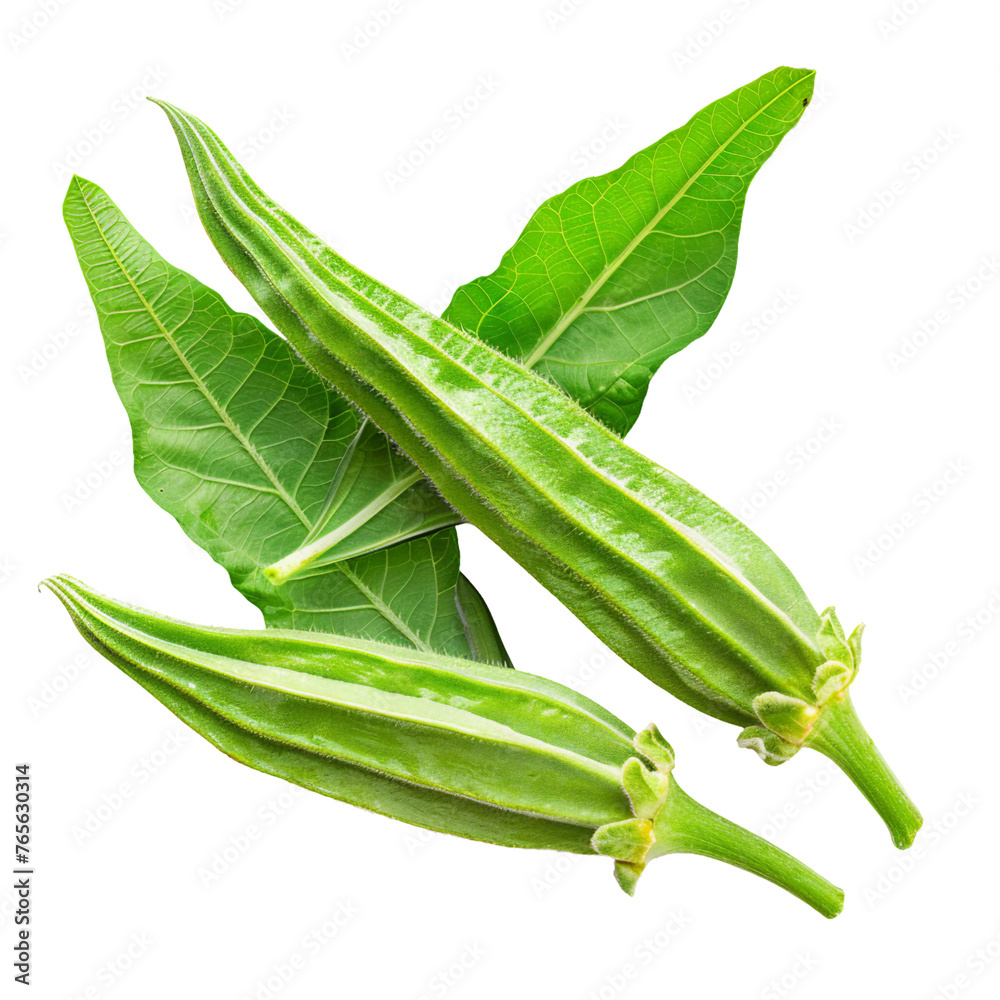 Okra Leaves Doodo, transparent background, isolated image, generative ...