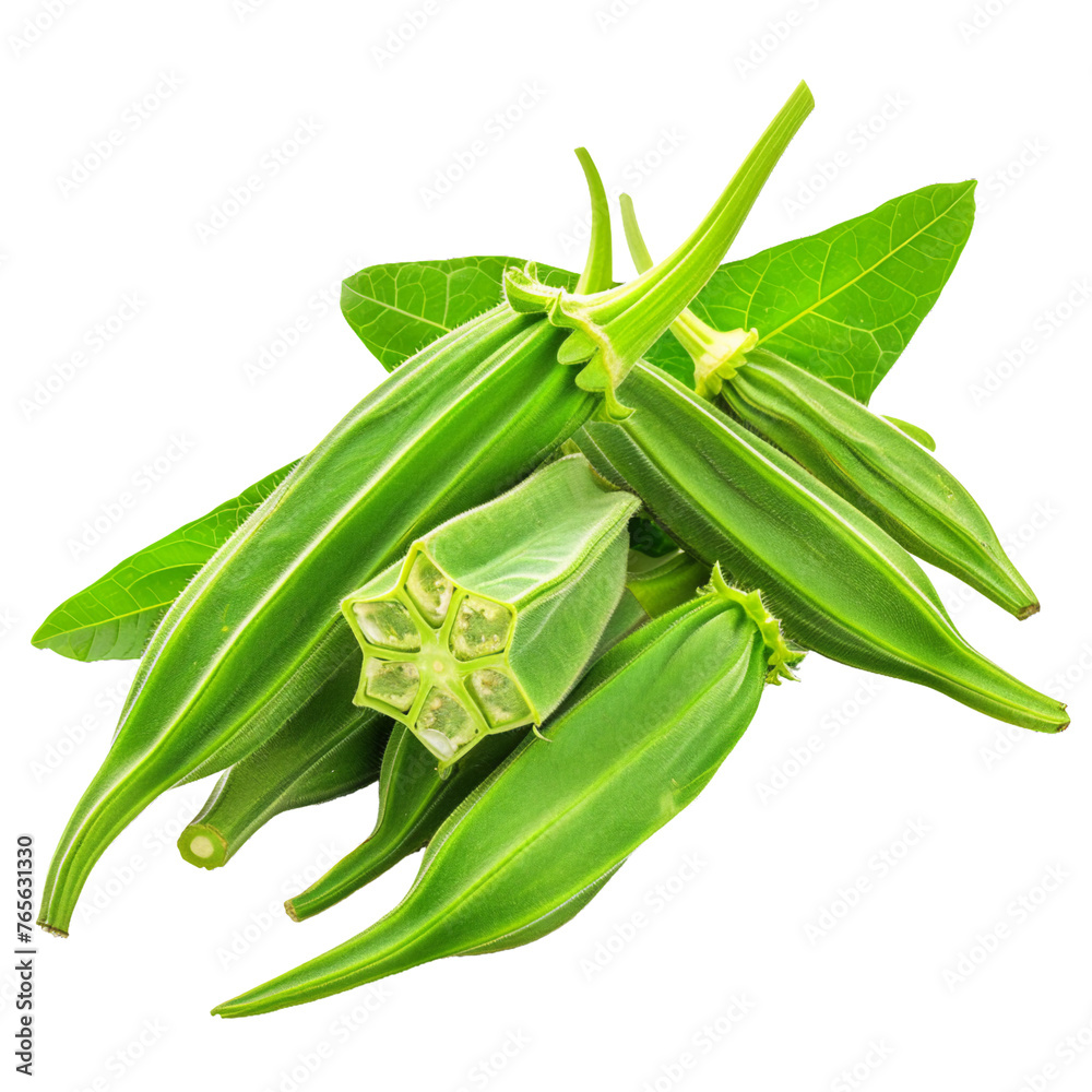 Okra Leaves Doodo, transparent background, isolated image, generative ...
