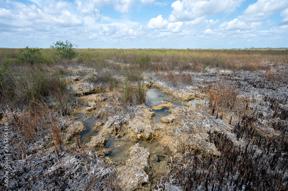 Solution holes in limestone exposed after prescribed fire in Everglades ...